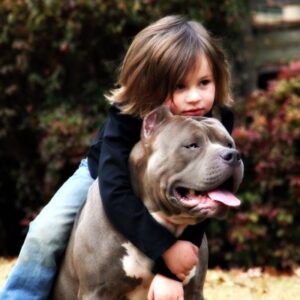 WORLD RENOWNED XL AMERICAN BULLY BREEDER