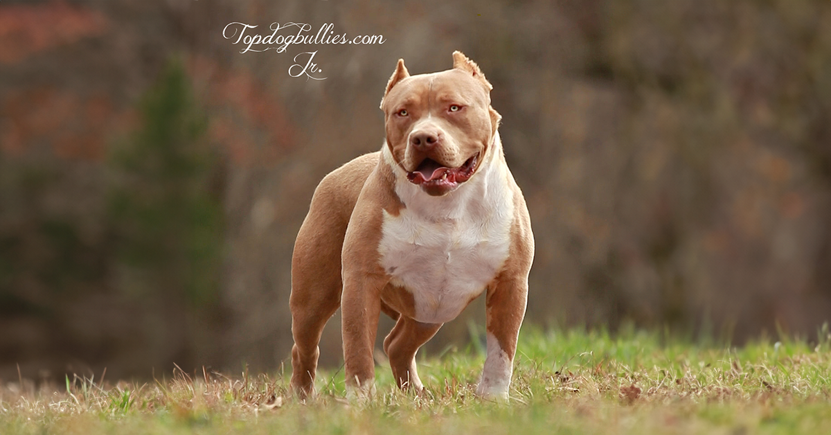 NEW ADDITIONS TO THE SITE